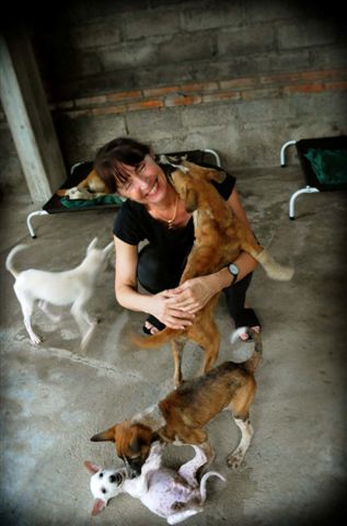 BAWA and Bali Dogs – Travel Media Specialist